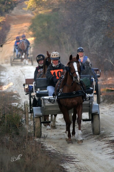 INTRODUCTORY DISTANCE RIDES and DRIVES - South Eastern Distance Riders ...