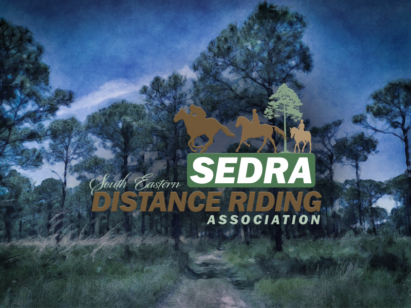 2025 Broxton Bridge Ride in the Low Country 1-24 Results - South ...